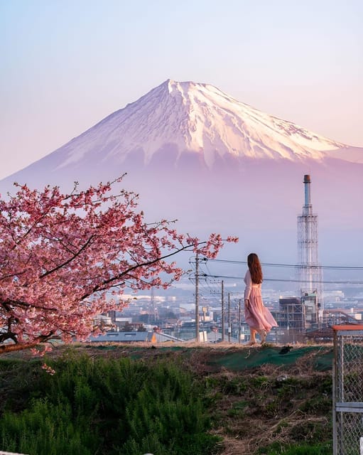 Tokyo:Mount Fuji & Hakone Customized Tour With English Guide - Itinerary Highlights