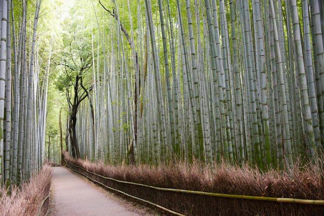Tour in Kyoto With a Goverment Certified Tour Guide - Meeting and Pickup