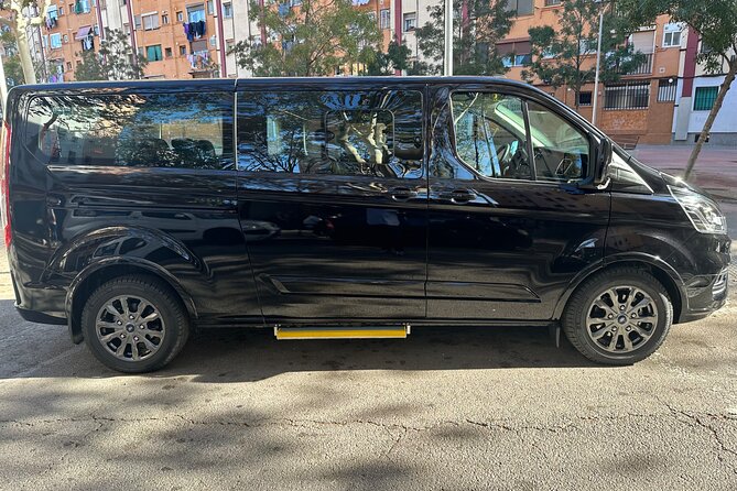 Transfers From Cruise Port to Barcelona Airport - Accessibility and Luggage Allowance