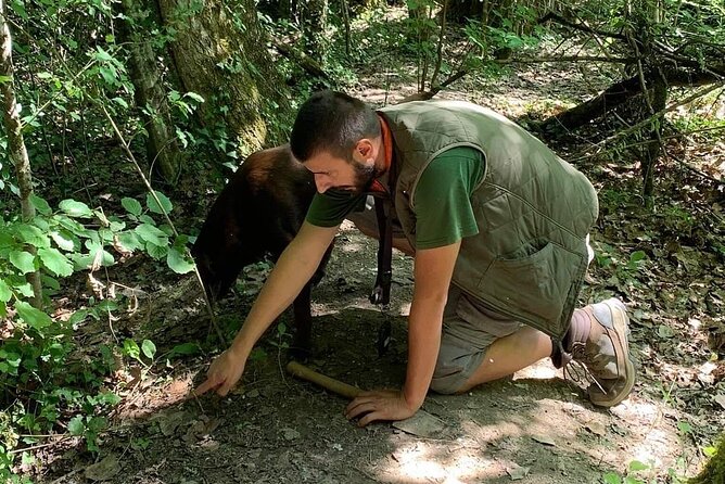 Truffle Hunting Adventure - Itinerary and Meeting Details