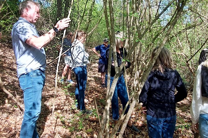 Truffle Hunting in Chianti, Pasta Class and Lunch - Truffle Hunting in the Chianti Countryside