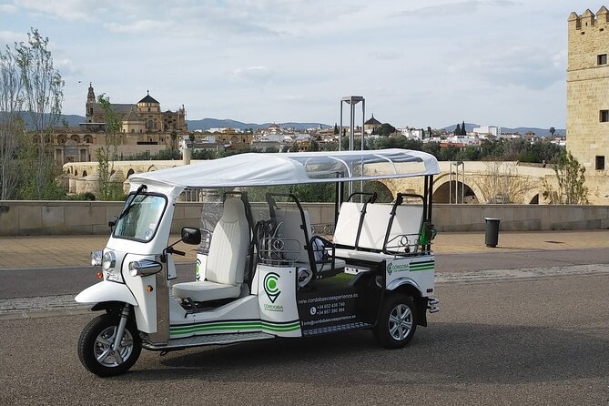 Tuk Tuk Route Through Córdoba - Navigating the Meeting Point and Tour Logistics