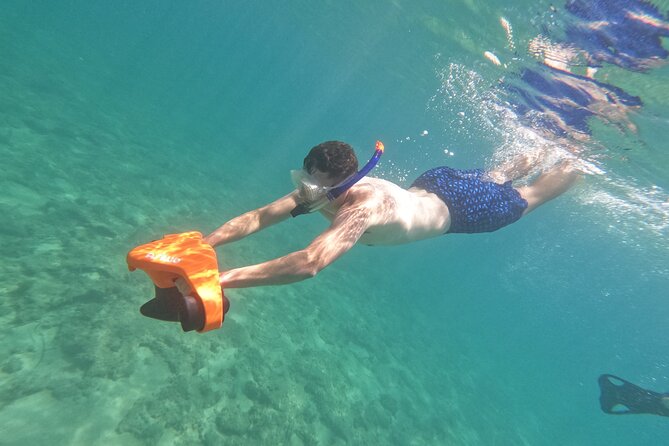 Turtle Watching in Cyprus - Inclusions and Meeting Information