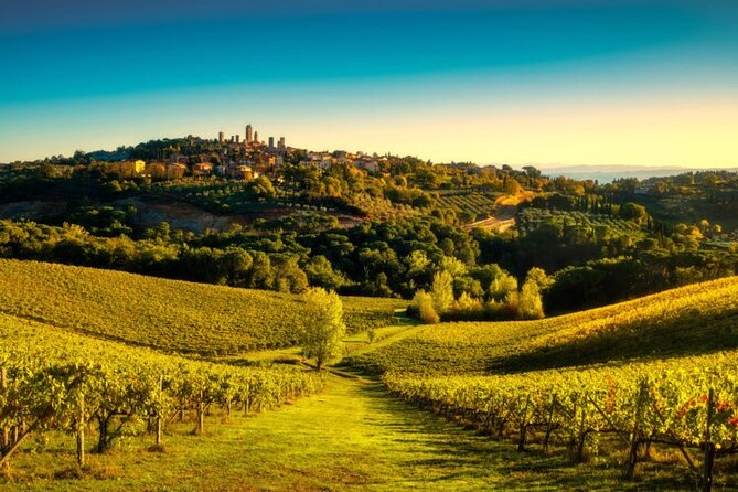 Tuscany Private Day Trip Siena and San Gimignano From Florence - The Culinary Delights of Tuscany: Lunch and Wine Tasting Experience