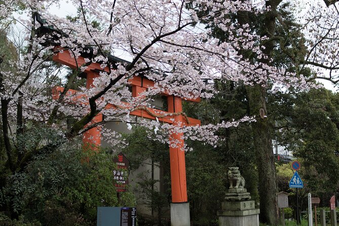 Uji Tea Ceremony and UNESCO Heritage Walking Tour - Included and Excluded