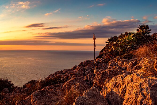Unique V8 Trike Tour to the Tramuntana Mountains Max. 4 People - Cancellation Policy