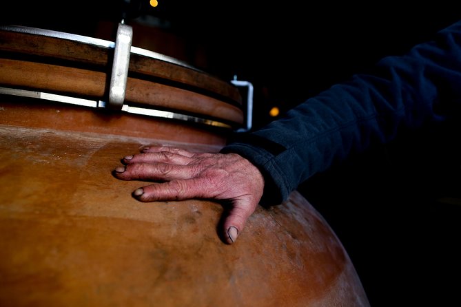 Unusual Visit & Tasting of Our Organic Wines - Organic Wines and Tasting Experiences