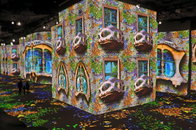 Van Gogh & Carrières De Lumières Half-Day Tour From Avignon - Highlights of the Itinerary