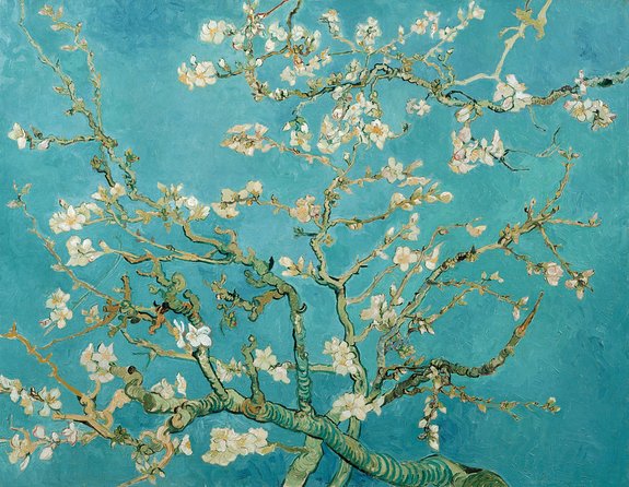 Van Gogh Museum Amsterdam Ticket and 1-Hour Canal Cruise - Canal Cruise Features