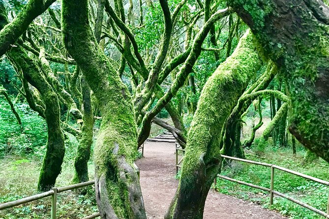 VIP Tour of La Gomera Review - Tour Experience and Expectations