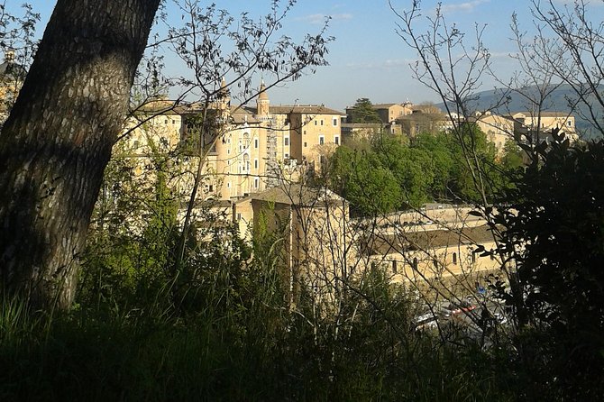 Visit of the Ducal Palace of Urbino - Uncovering the Historical Significance of Urbino