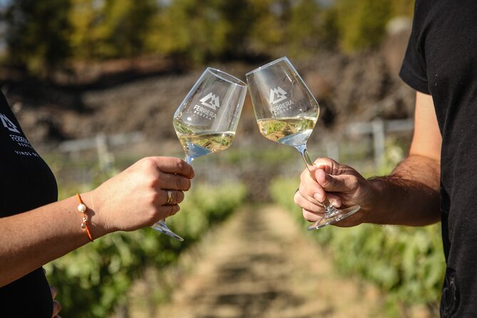 Visit to Arafo Mountain Vineyard and Organic Wine Tasting - The Unique Flavors of Canarian Cuisine