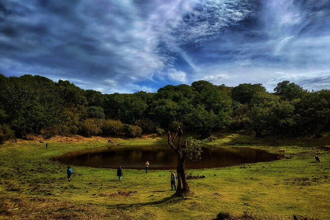 West Madeira Island Guided Tour & Fanal Mystic Forest - Itinerary and Inclusions
