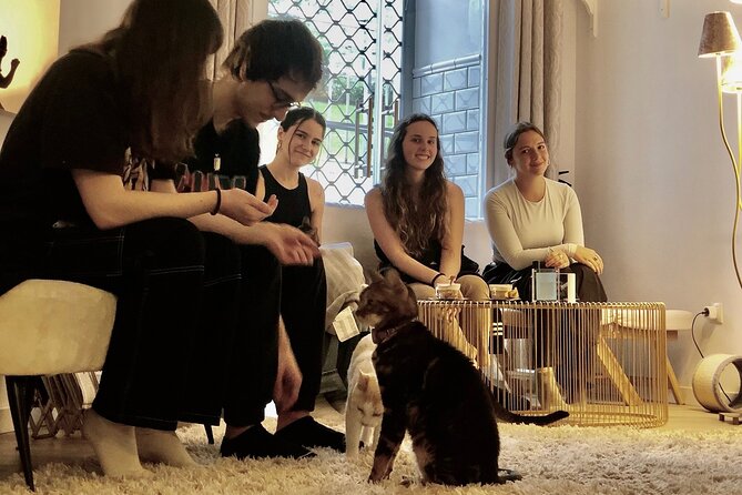 Whiskers & Coffee: Relax and Play With Adorable Cats - Cozy and Inviting Atmosphere