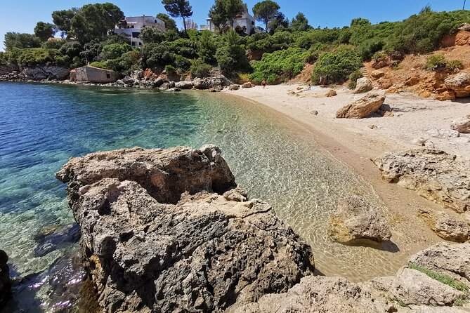Wild Beaches & Snorkeling Tour - Participant Information