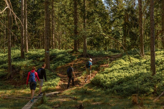 Wildlife Forest Hike - Discovering Flora and Fauna