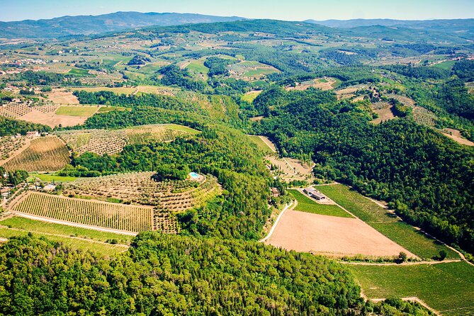 Wine Tasting by Carusvini in San Casciano in Val Di Pesa - The Menu: Tuscan Delights and Wine Varieties