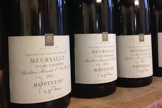 Wine Tour and Tasting in Burgundy - Highlights of the Wine Tasting Experience