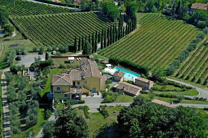 Wine Tour With Lunch and Wine Tasting - Wines and Tastings Included