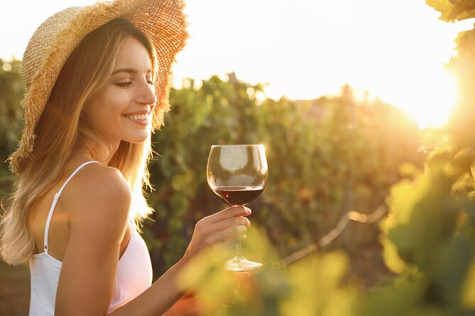 Wineries Tour and Wine Tastings in Chianti Hills From Florence - Highlights and Features