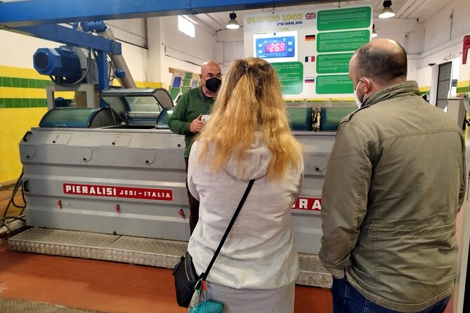 Winery And Oil Mill Tasting Tour - Tasting the Local Wines