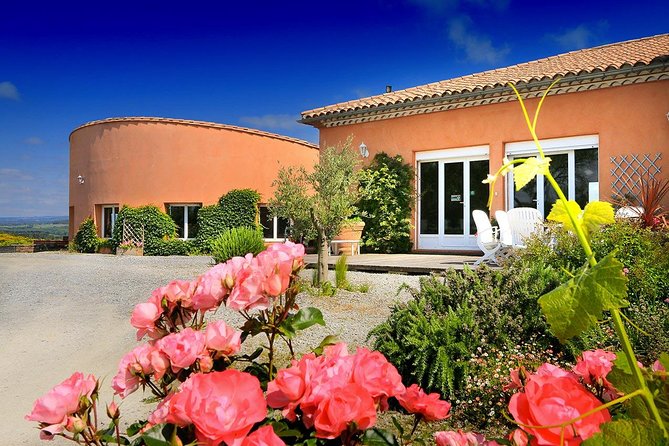 Winery Tour & Wine Tasting - Deli Plate & 3 Wines - Highlights of the Winerys Vineyards and Setting