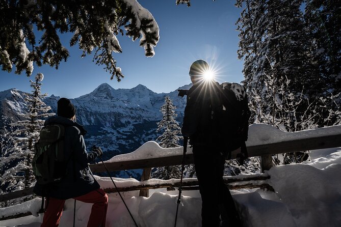Winter Alpine Adventure - Meeting Point and Schedule