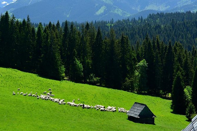 Zakopane Tour From Krakow – Review - Meeting and Pickup Details