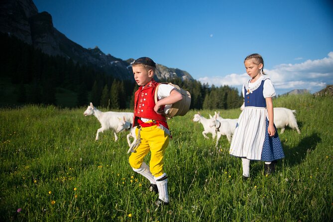 Zurich: Chocolarium and Appenzeller Cheese Dairy Tour - Highlights of the Tour