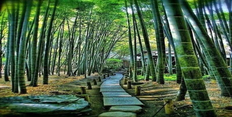 3 Days Private Osaka Nara and Kyoto Tour With English Driver - Key Points
