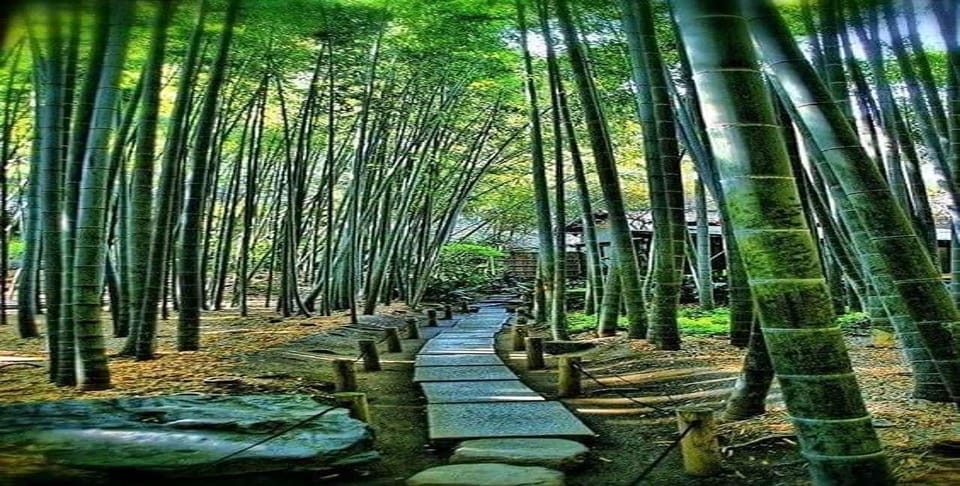 3 Days Private Osaka Nara and Kyoto Tour With English Driver - Booking Information