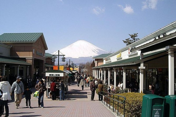 1 Day Family Fun at Fuji Private Tour - Reviews and Ratings