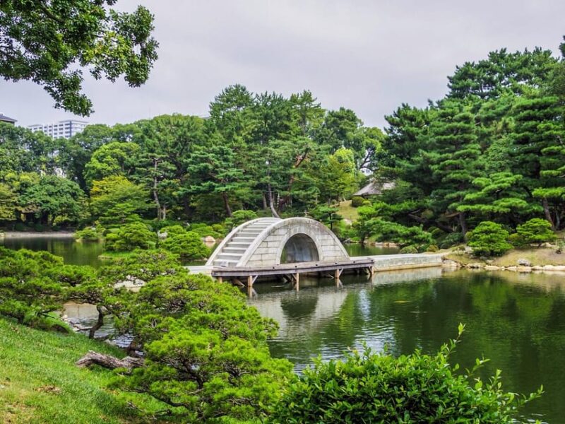 1-Day Tour: Hiroshima Hidden Gems & Highlights - Detailed Activities