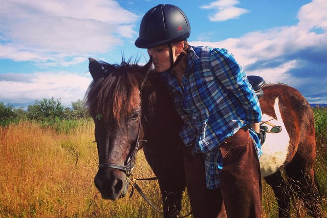 1+ Hour Private Horse Riding Tour From Reykjavík/Mosfellsbær - The Role of Horses in Icelandic Culture and History