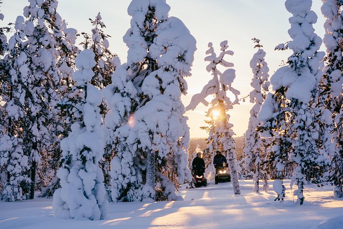 1-Hour Snowmobile Safari Experience - Meeting Information