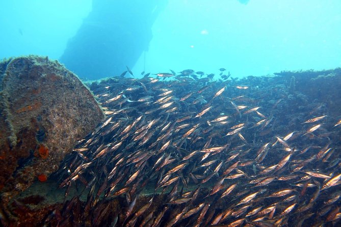 2 Dive Package for PADI Qualified Divers in Gran Canaria - Meeting Information
