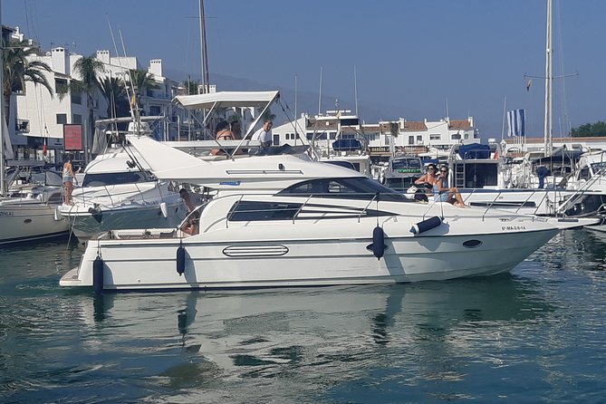 2 Hours Dolphin Watching in Marbella - Booking Information and Policies