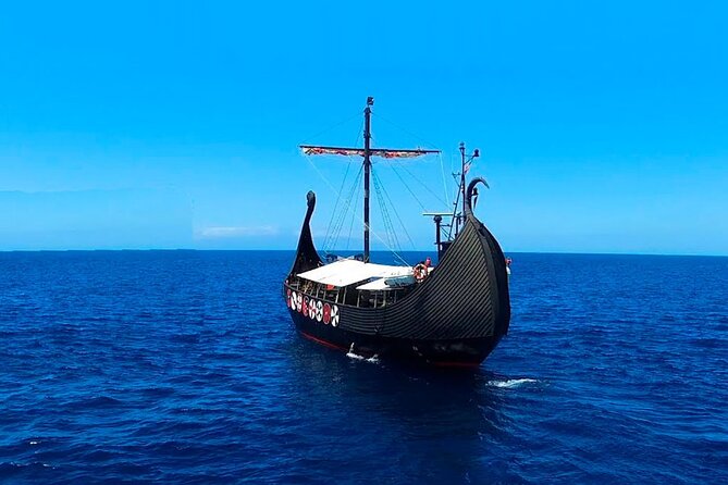 2h Viking Cruise Whales and Dolphins Watching - Accessibility and Transportation Options