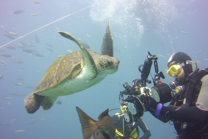 2x Diving Package, on Request Including Refreshment - Meeting Point and Pickup Details