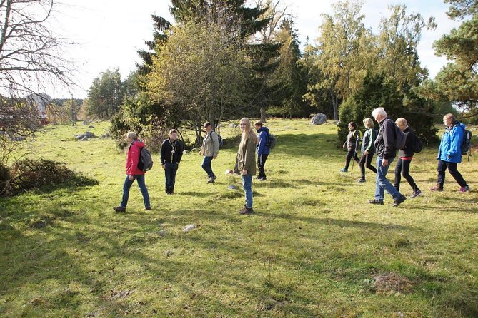 3-4h Viking History Short Day Tour From Stockholm - Transportation and Logistics