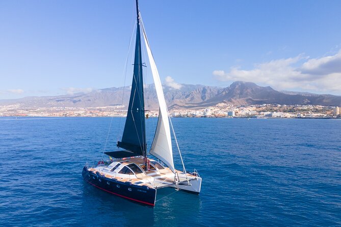 3 Hrs. Whale Watching and Relaxing Chill Out Catamaran With Glass Floor - Meeting and Pickup