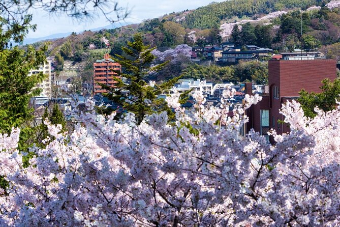 4 Hour Unique Kanazawa Cherry Blossom Sakura Private Experience - Reviews and Feedback
