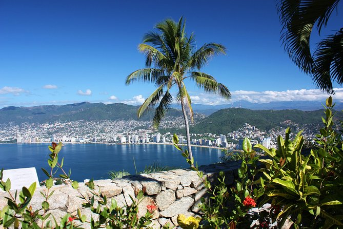 4HRS Small Group Half Day City Tour With Lunch at High Divers - Inclusions and What to Expect