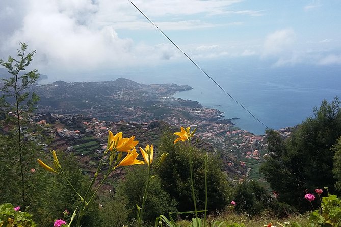 4x4 Safari Half Day Poncha, Mountains, Vineyards and Cabo Girão Small Group - Small-Group Intimate Experience