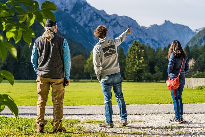 7 Alpine Wonders- Day Tour Bled, Soca Valley, Slovenia - Tour Experience and Feedback