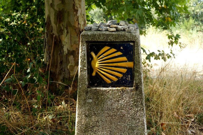 8-Day Camino Frances Pilgrimage Tour From Sarria to Santiago - 2nts Santiago - Meeting and Pickup