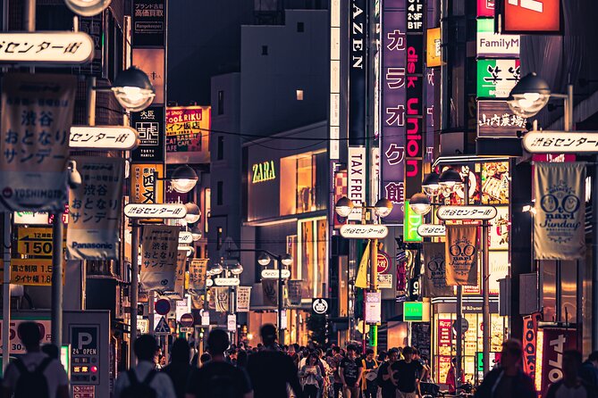 9-Day Japan and South Korea Highlight Tour - Traveler Requirements