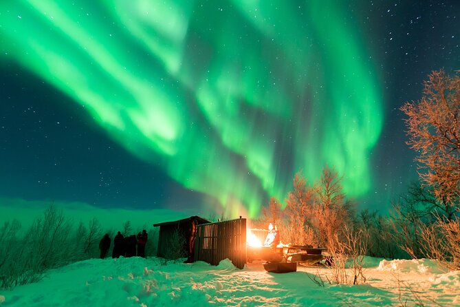 Abisko Northern Lights Tour With Photographer - What to Expect on the Tour