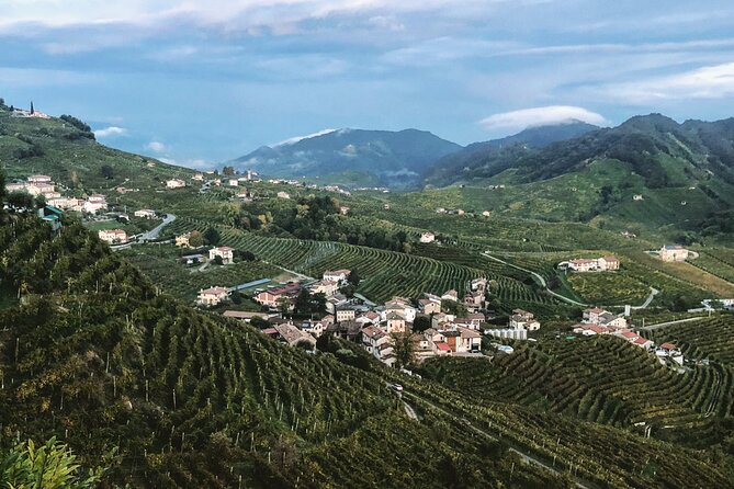 Adventure in the Prosecco Hills by Yellowboot - Accessibility and Participation