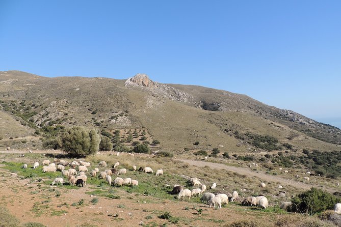 Adventure Safari Tour Secrets of the Southern Crete - Visiting the Picturesque Viannos Village